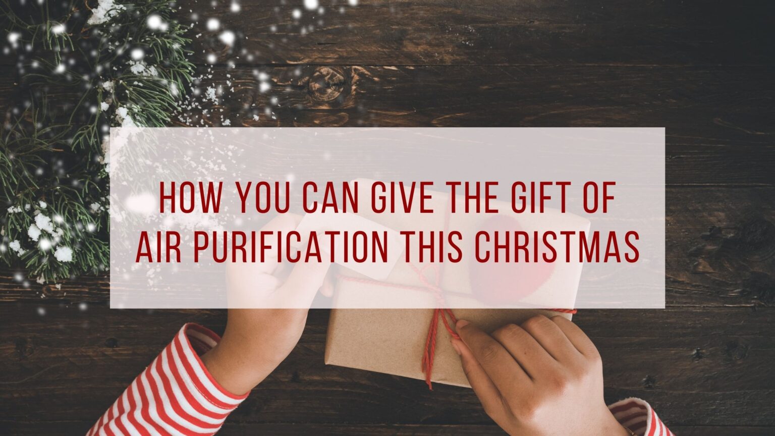 How You Can Give The Gift Of Air Purification This Christmas
