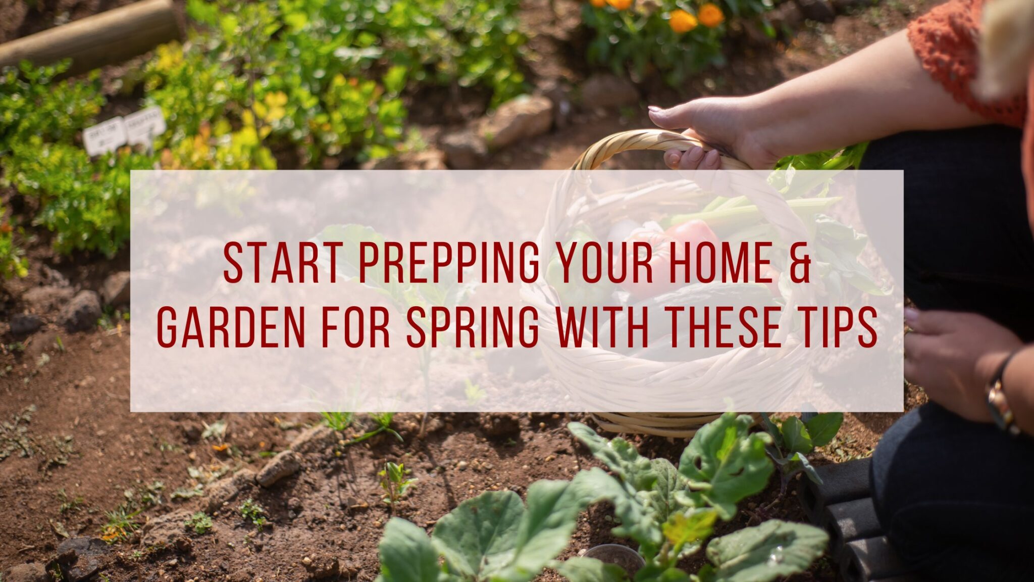 Prep Your Home and Garden for Spring with These 6 Tips