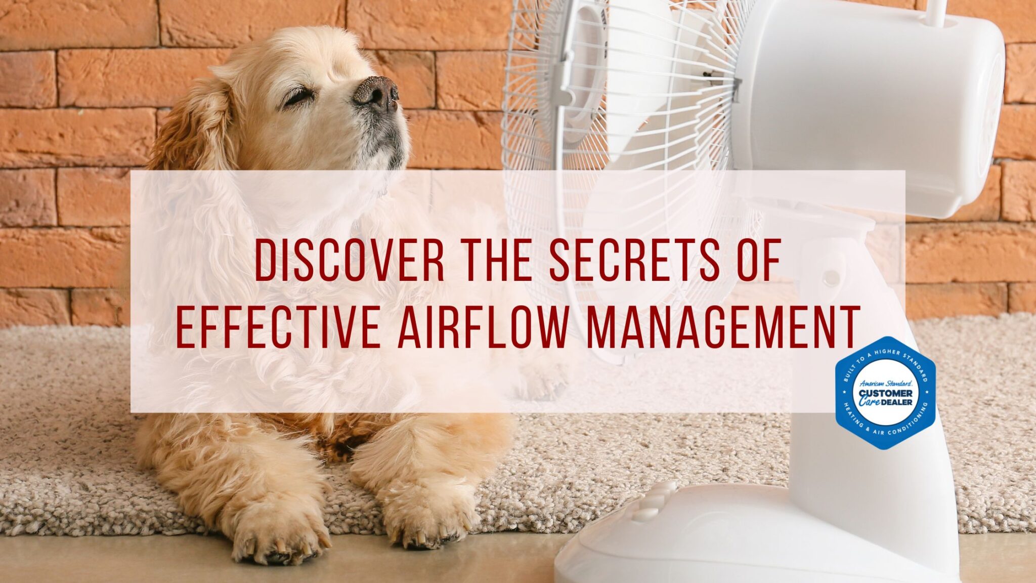 Discover the #1 Secret of Effective Airflow Management