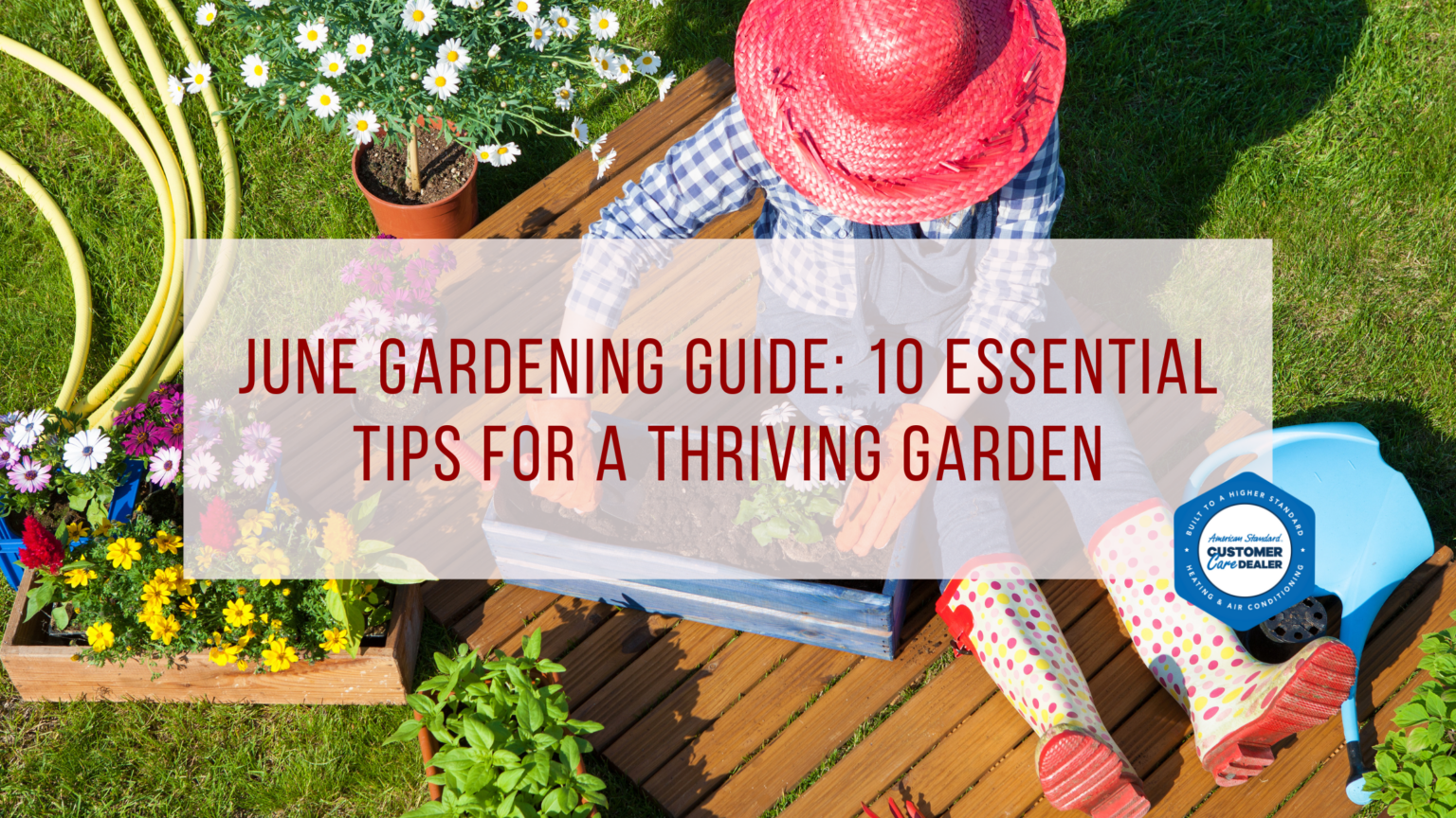 10 June Gardening Tips for a Beautiful, Healthy Garden